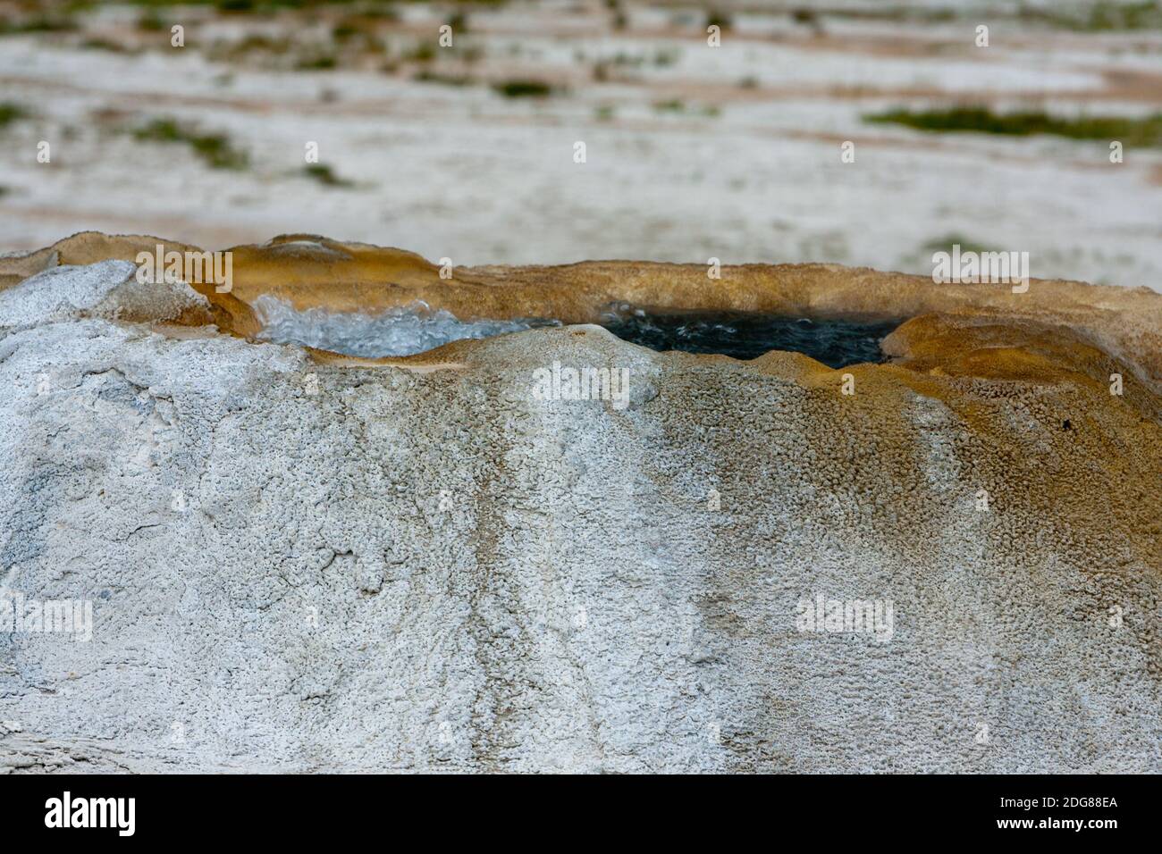 Chloroflexus bacteria hi-res stock photography and images - Alamy