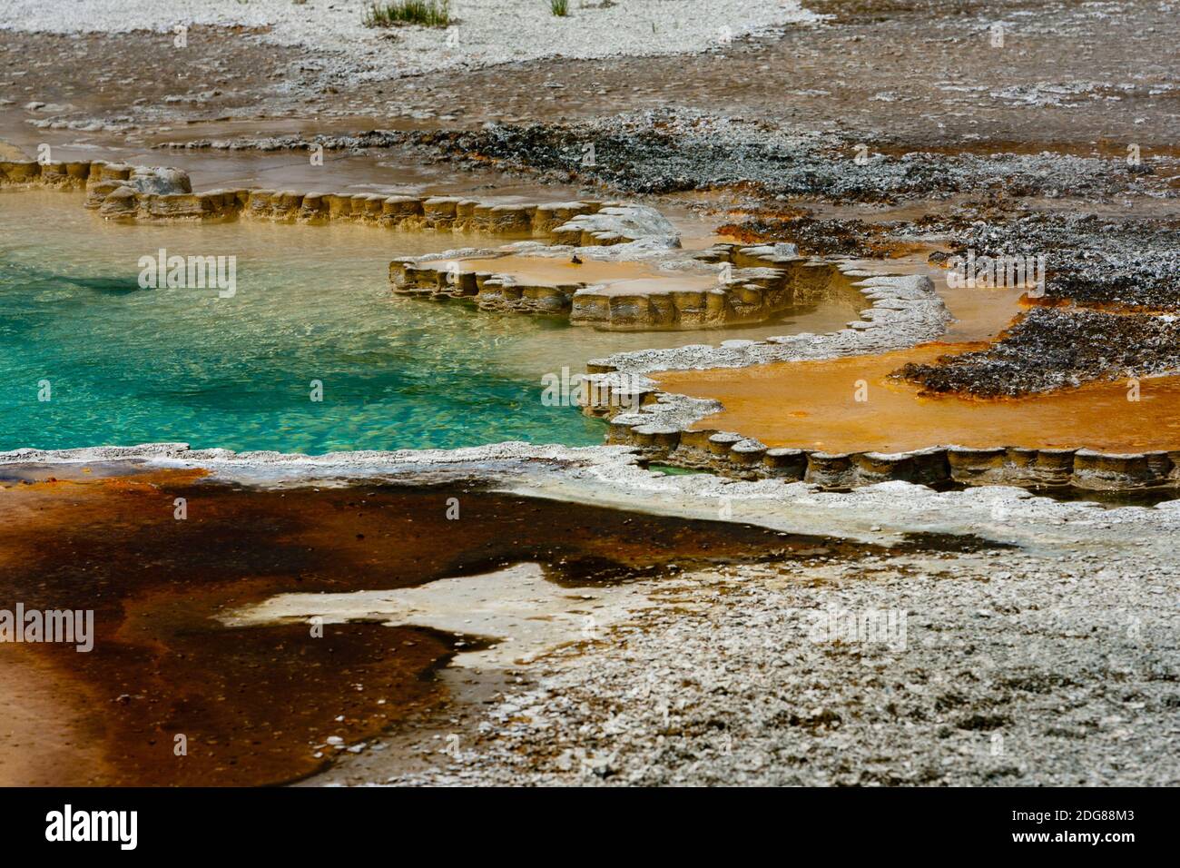 Colorful geothermal feature, Doublet Pool with scalloped geyserite ...
