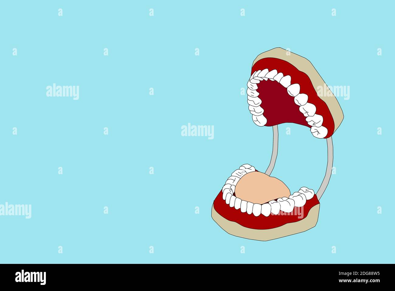 Human Jaw White Teeth Open Mouth Illustration Stock Photo - Alamy