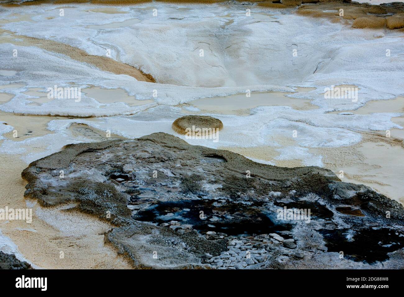 Colorful geothermal feature with rounded bulbous geyserite deposits of ...