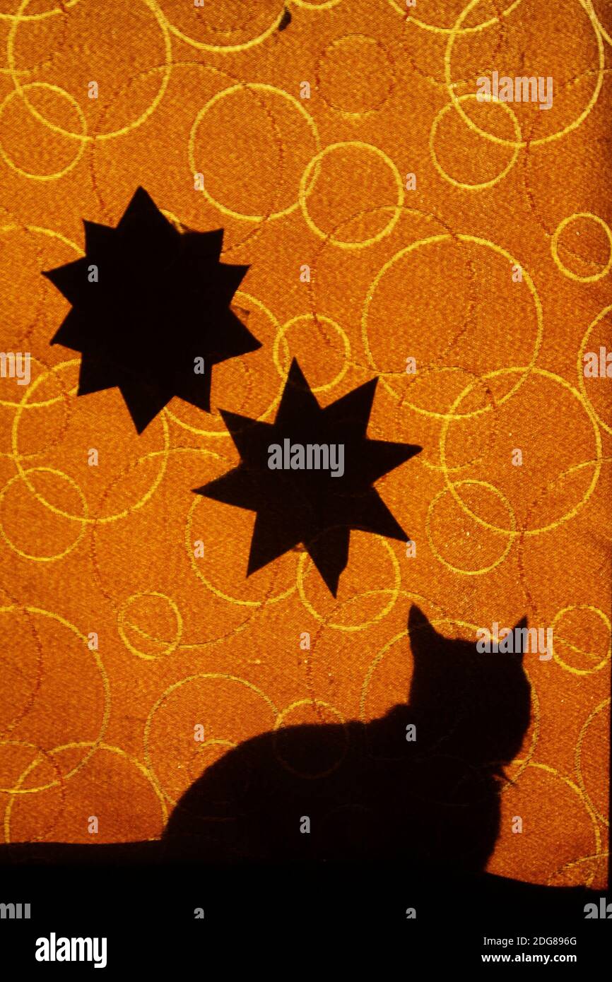 Star and shadow hi-res stock photography and images - Alamy