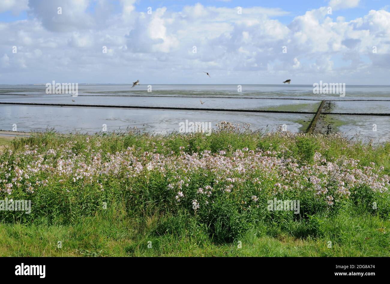 Fascines High Resolution Stock Photography and Images - Alamy