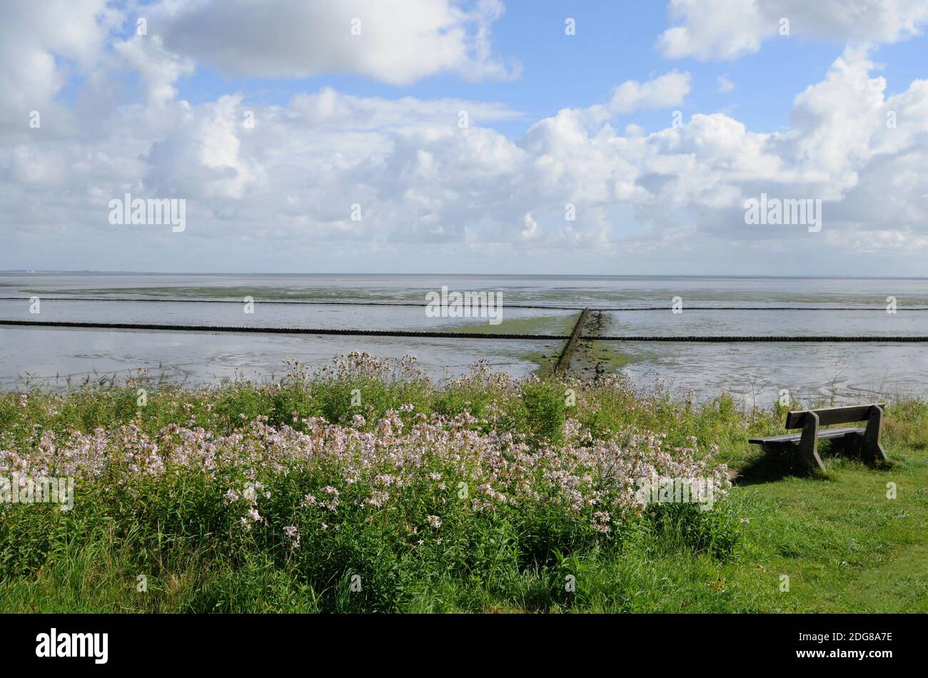 Fascines hi-res stock photography and images - Alamy