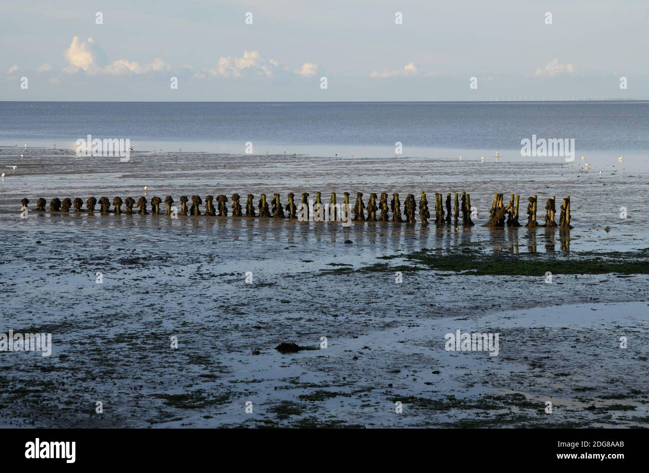 Fascines hi-res stock photography and images - Alamy