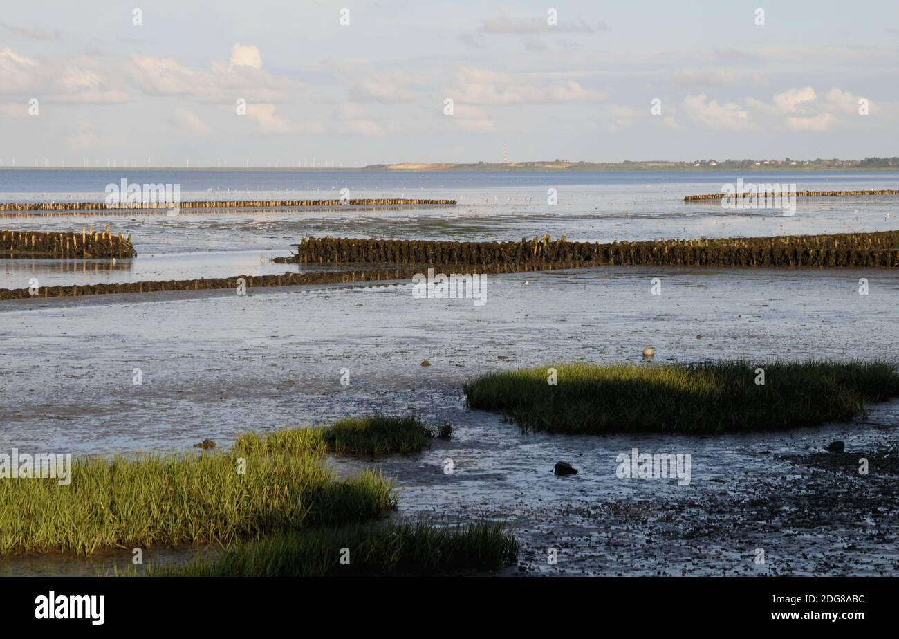 Fascines hi-res stock photography and images - Alamy