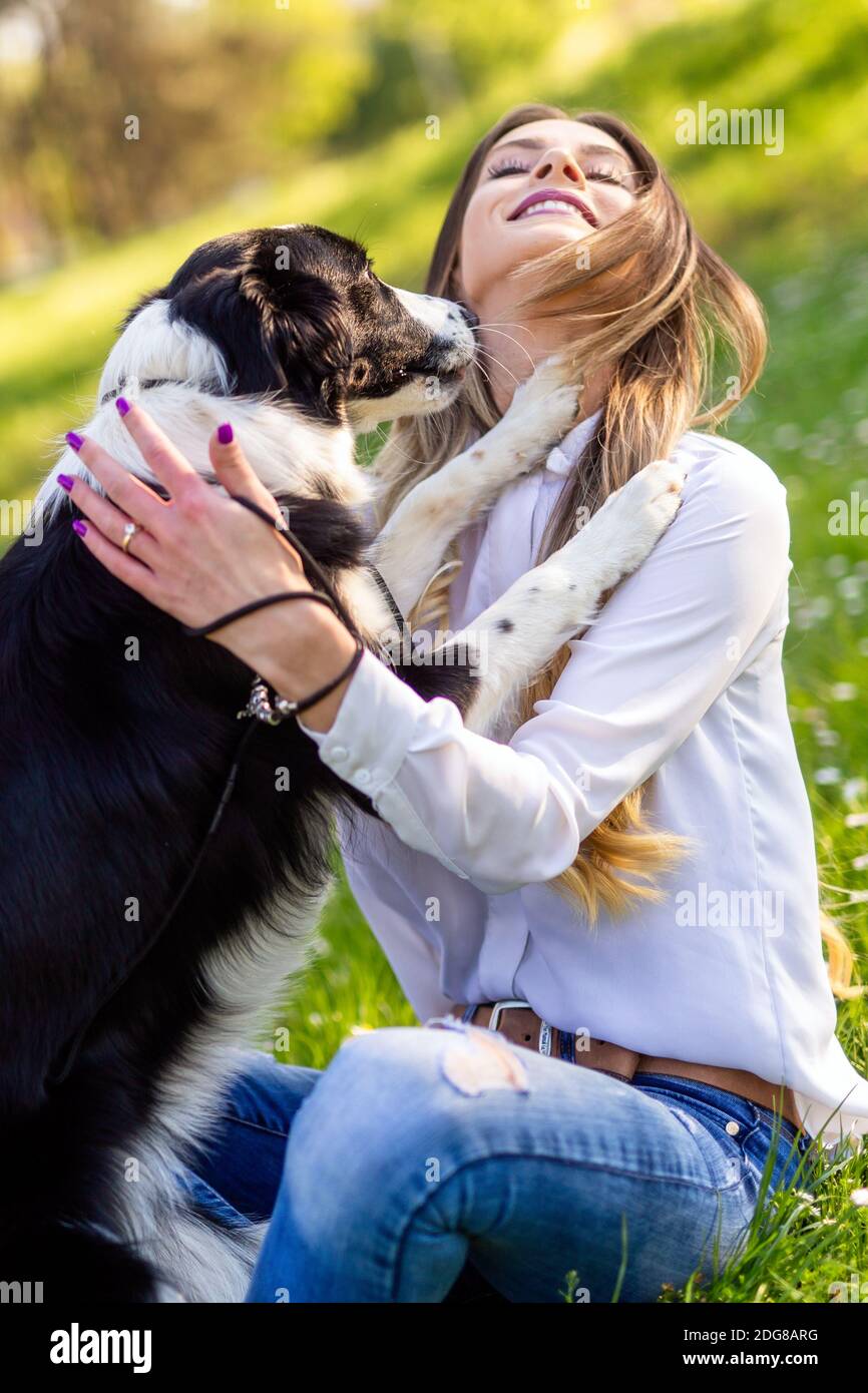 Dog in nature hi-res stock photography and images - Alamy