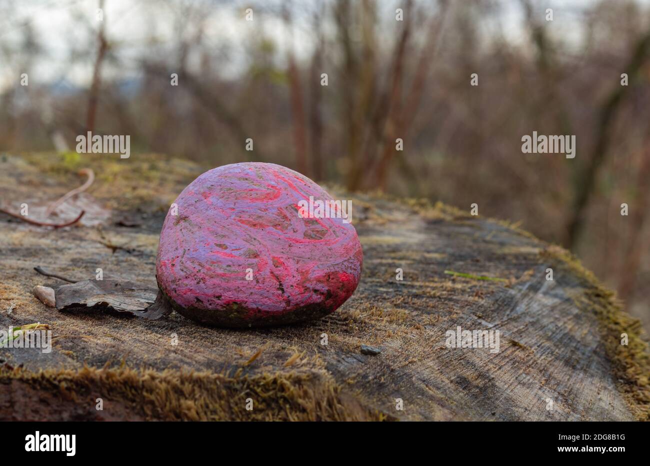 Stone tree stump hi-res stock photography and images - Alamy