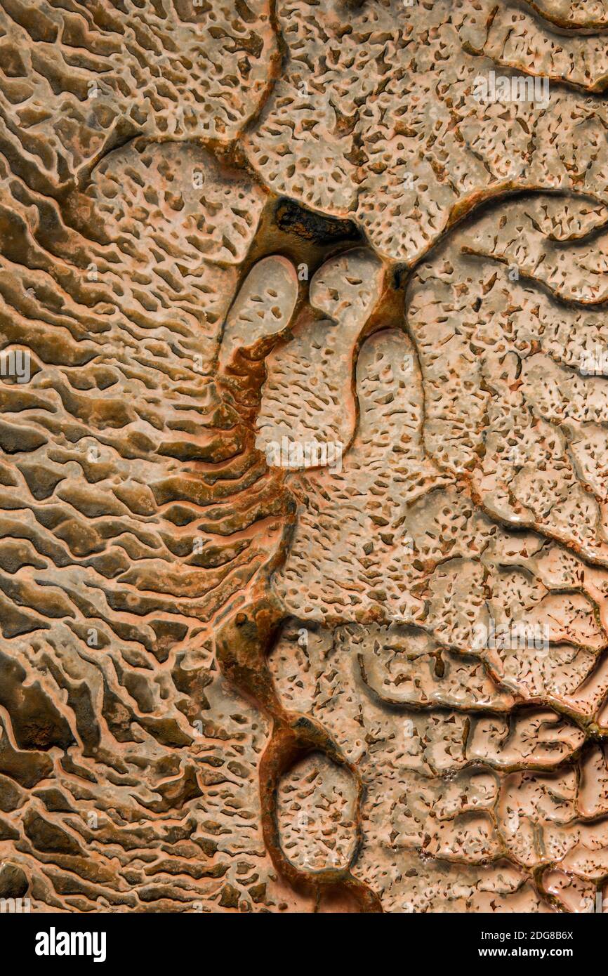 Abstract natural rocky background of the stones with spring water ...