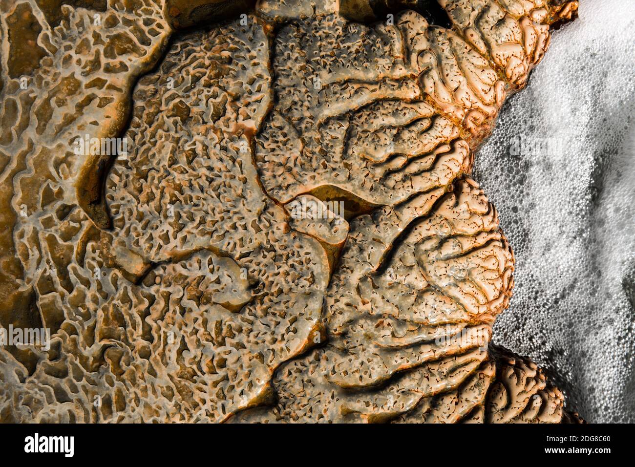 Abstract natural rocky background of the stones with spring water ...
