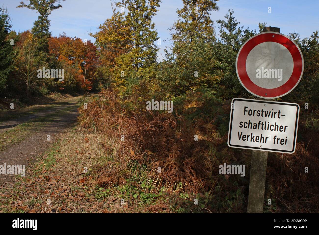 Sign in a forrest Stock Photo - Alamy