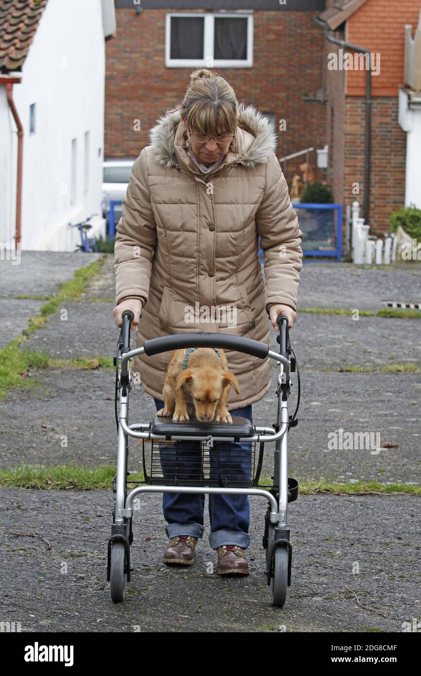 Wheeled walker hi-res stock photography and images - Alamy