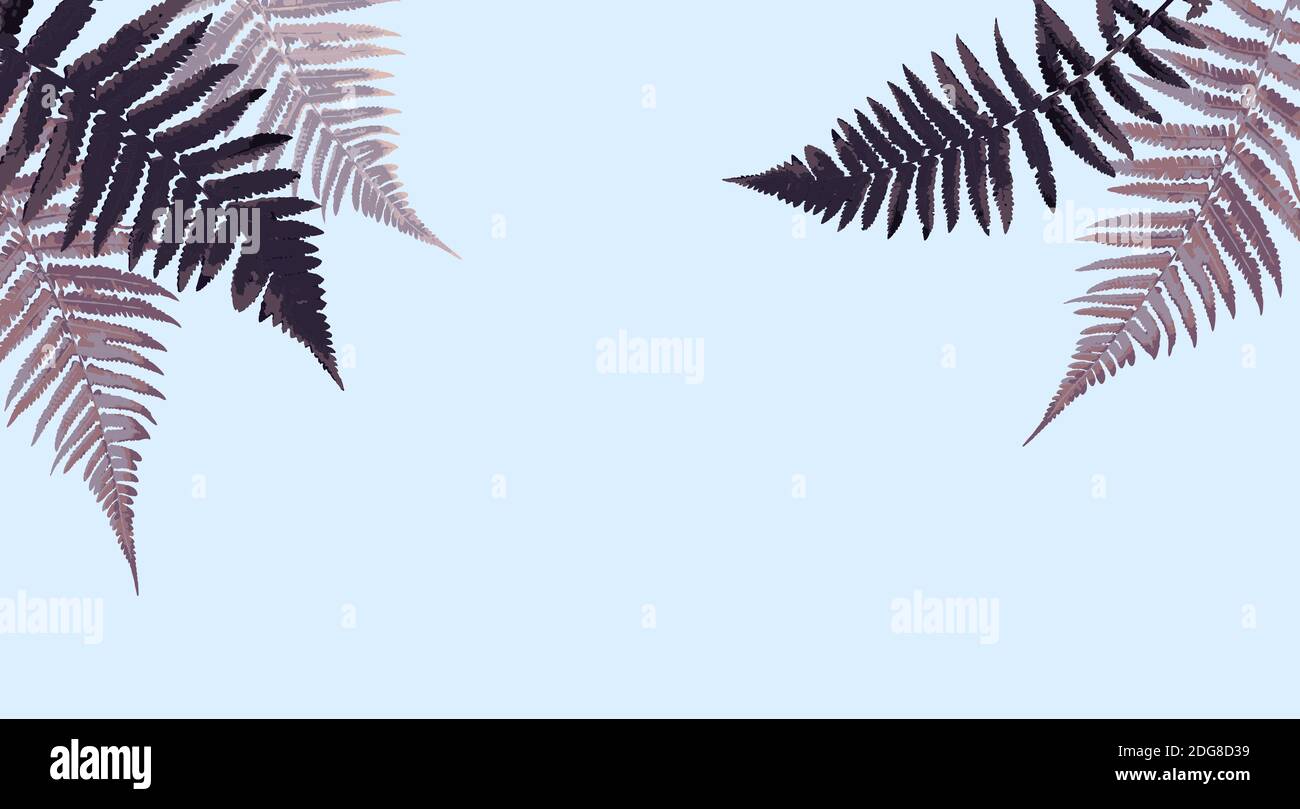 Fern Leaf Background Illustration Stock Photo - Alamy