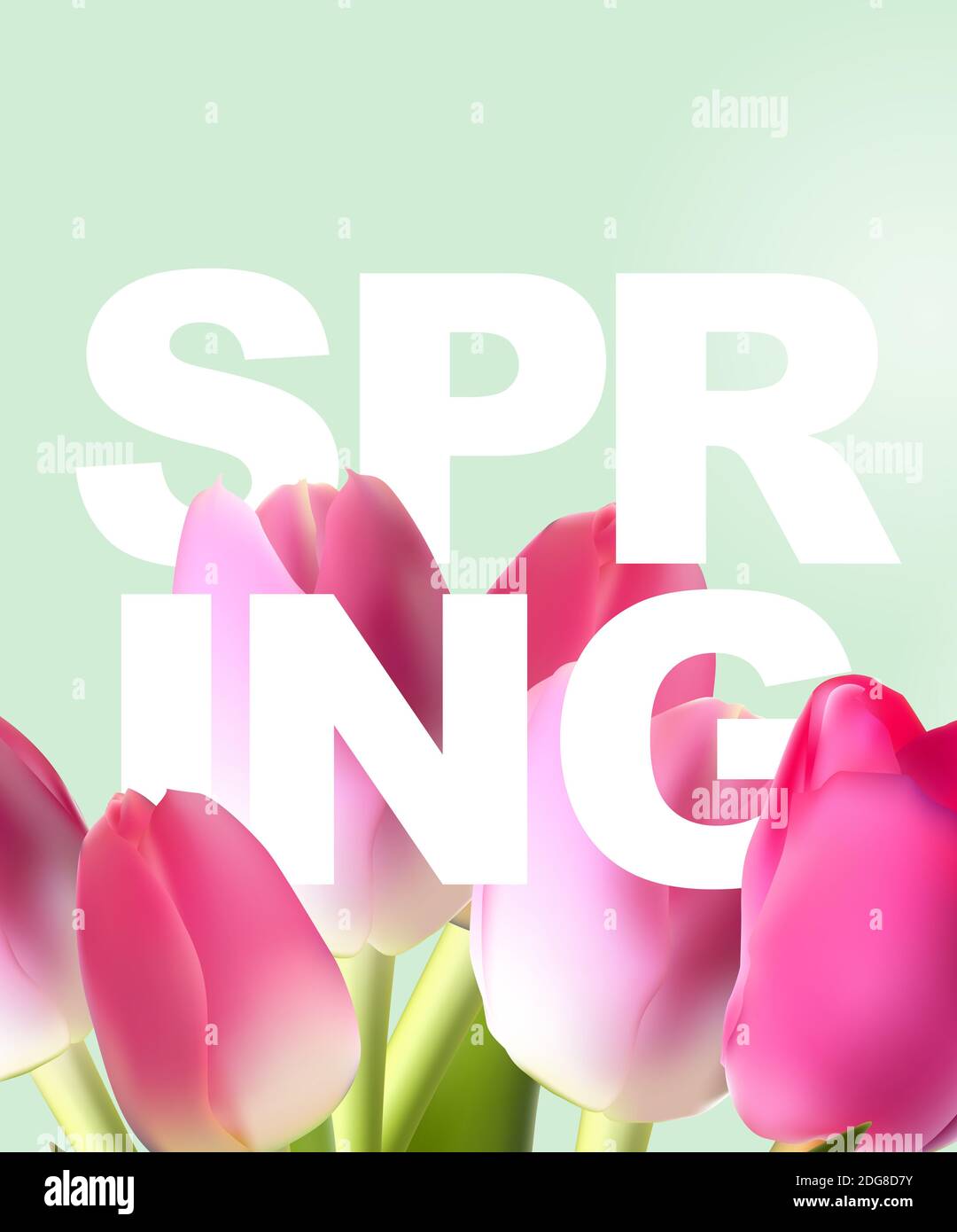 Hello Spring Banner Greetings Design Background with Colorful Flower ...