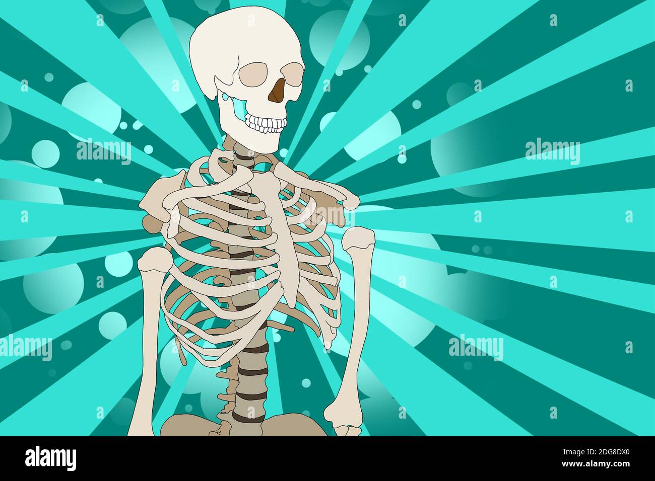Human skeleton illustration on a colored background Stock Photo - Alamy