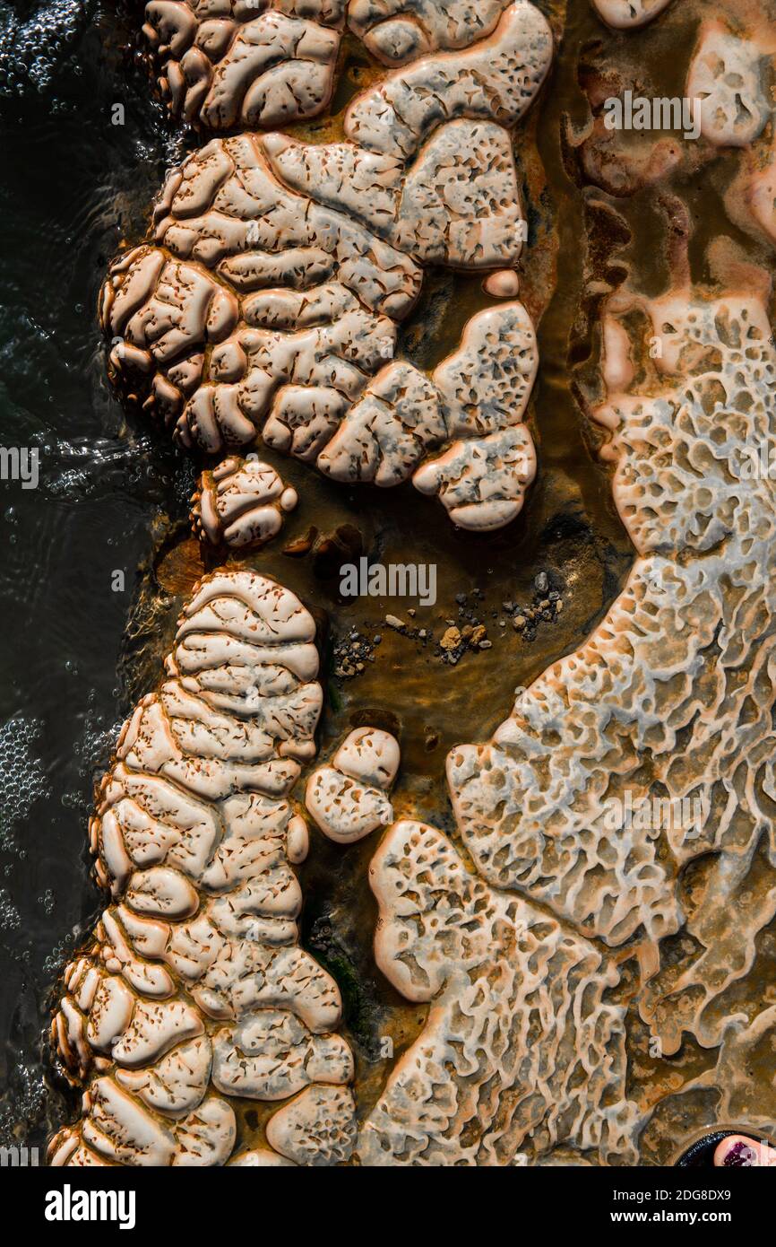 Abstract natural rocky background of the stones with spring water ...