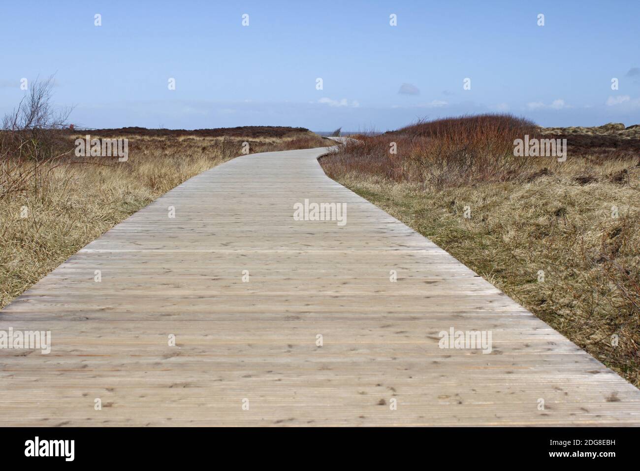 Wooden path hi-res stock photography and images - Alamy