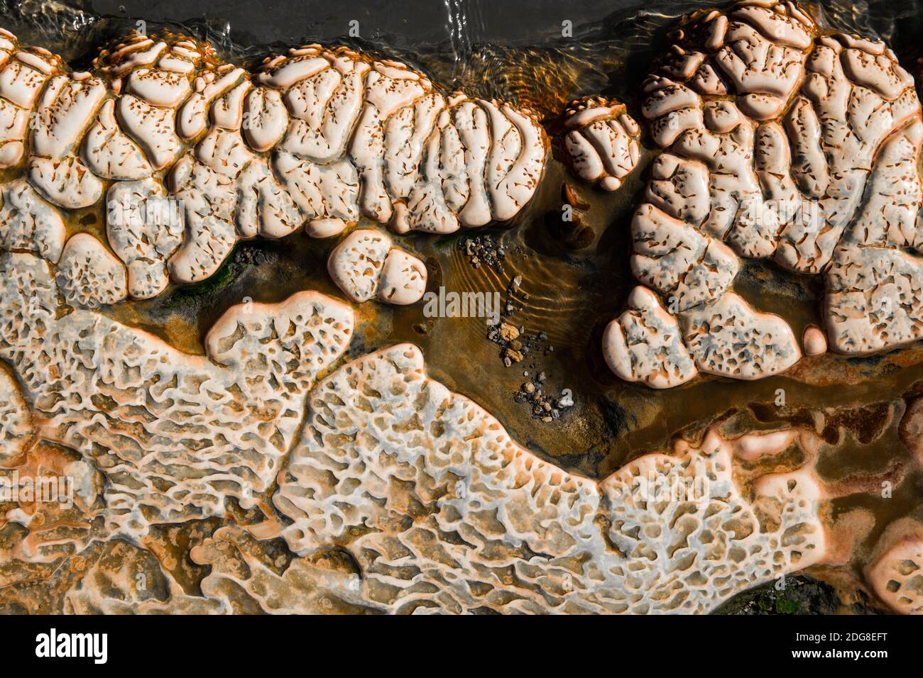 Abstract natural rocky background of the stones with spring water ...