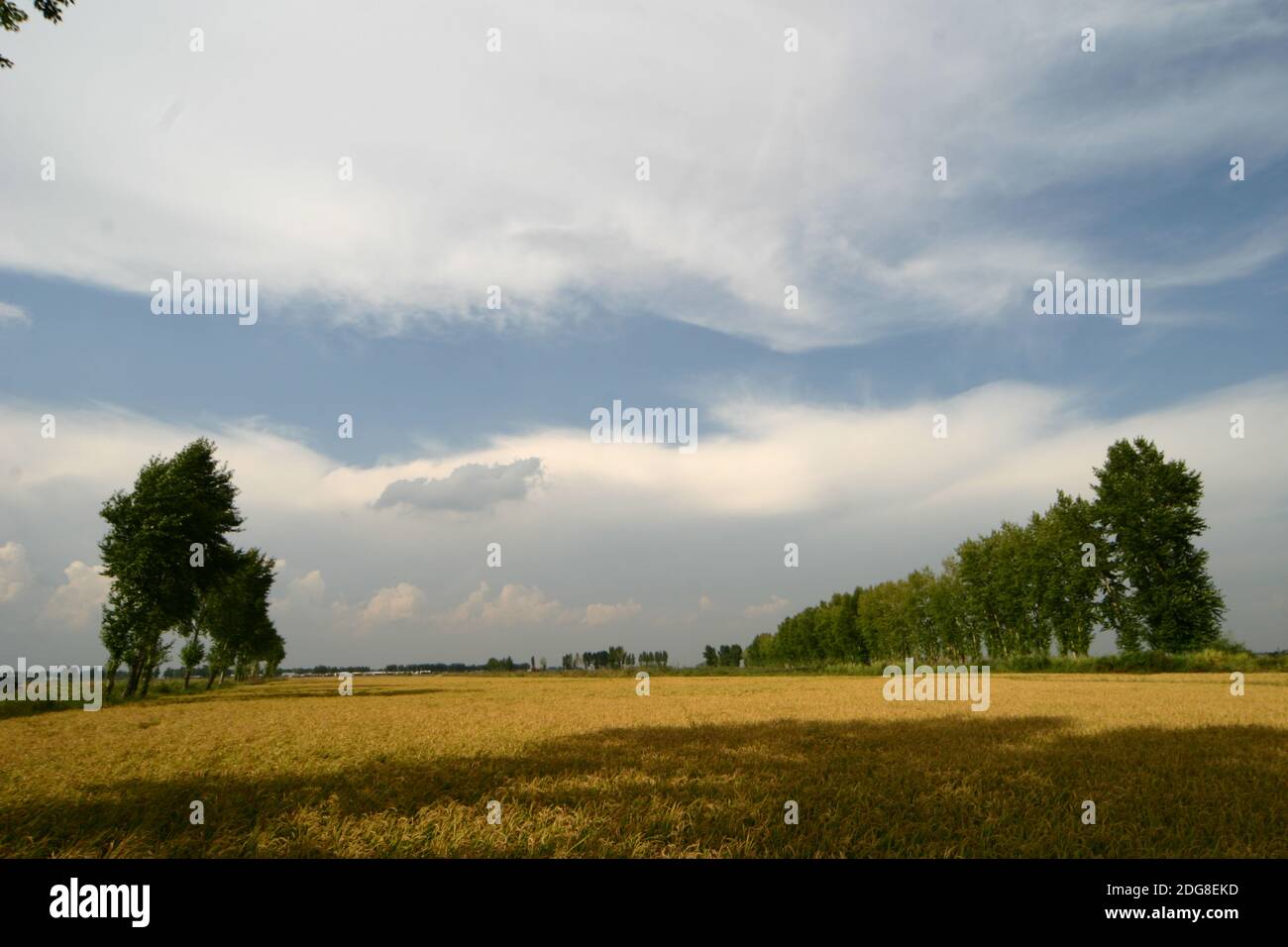 Plain land feature hi-res stock photography and images - Alamy