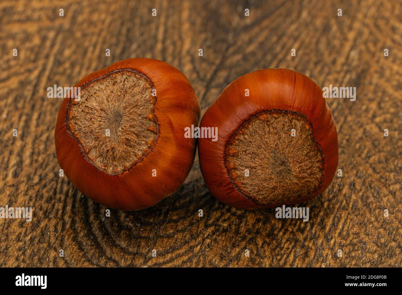 Two ripe tasty Whole hazelnut (hazel Stock Photo - Alamy