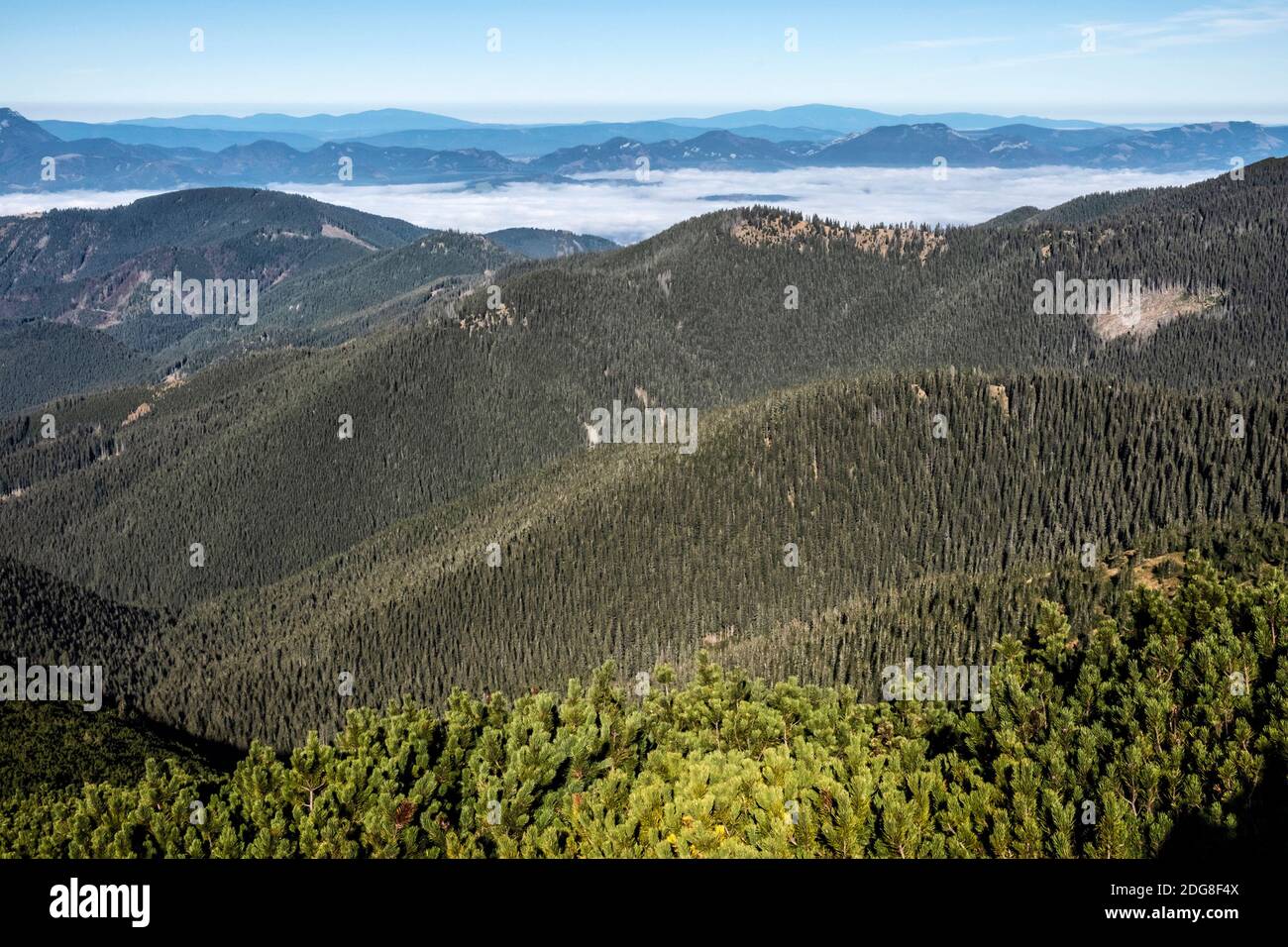 Inverse weather scene, Low Tatras mountains, Slovak republic. Hiking ...