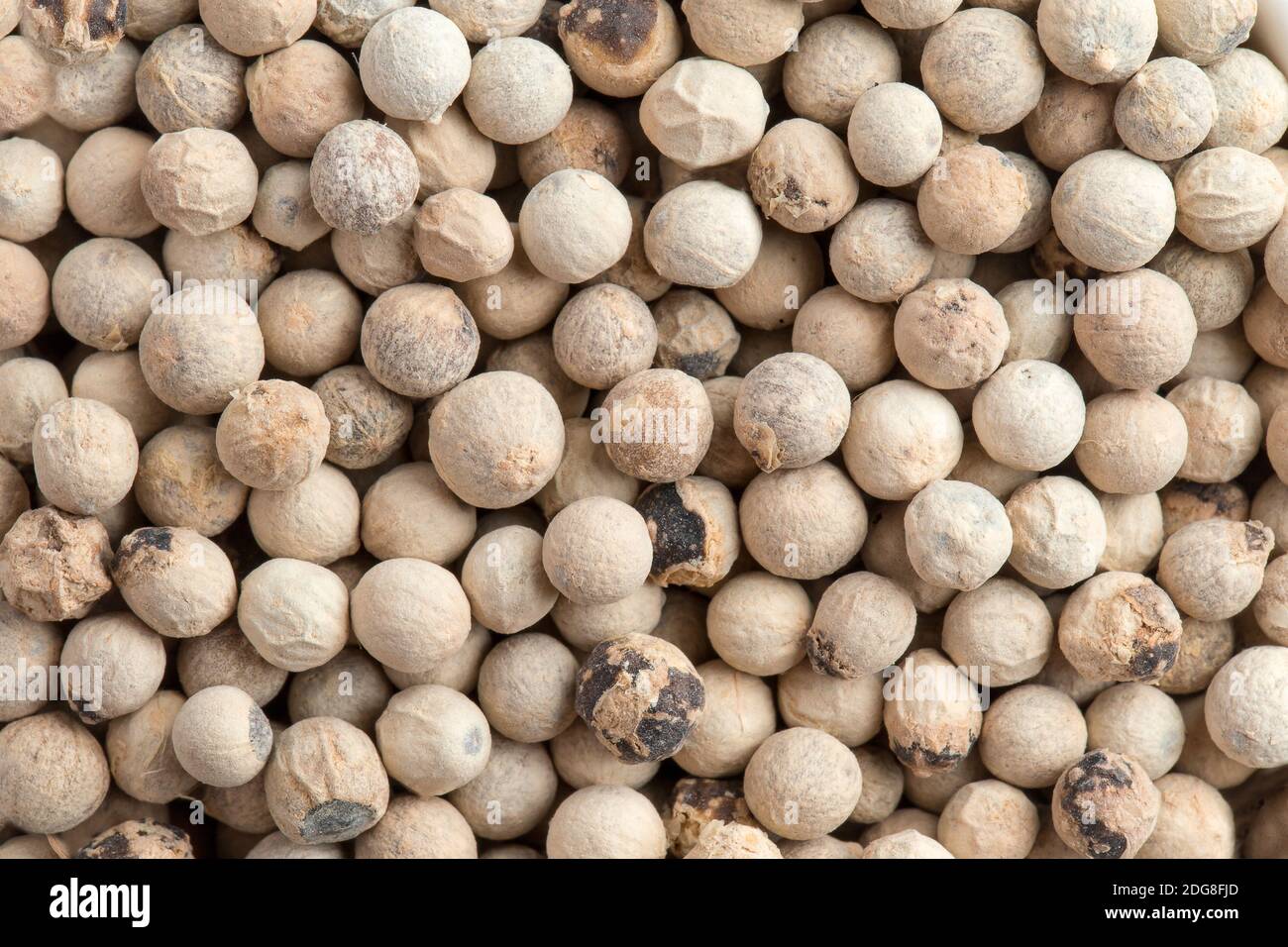 Horizontal closeup on white peppercorns spice texture Stock Photo - Alamy