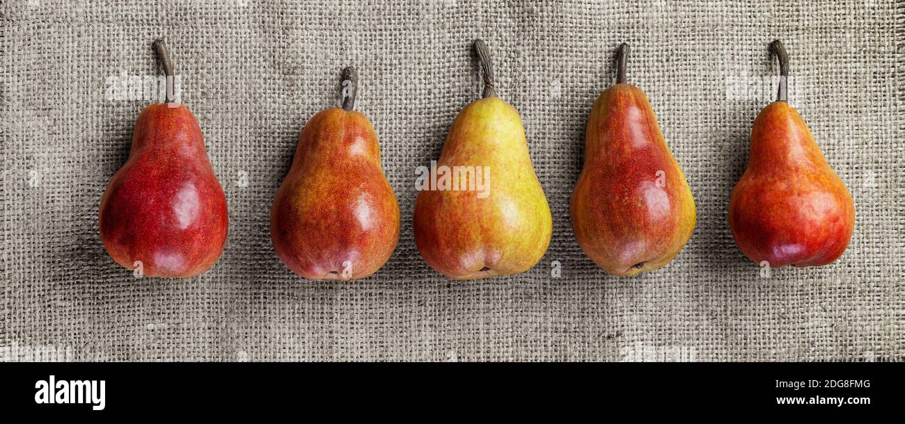 Four colorful pears Stock Photo - Alamy