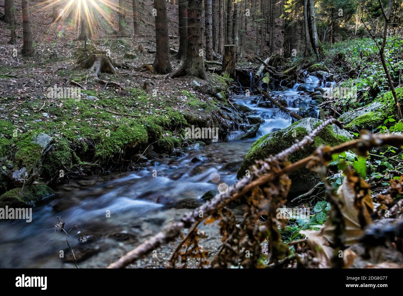 Water stream with icicles and sun in forest, Little Fatra, mountains ...