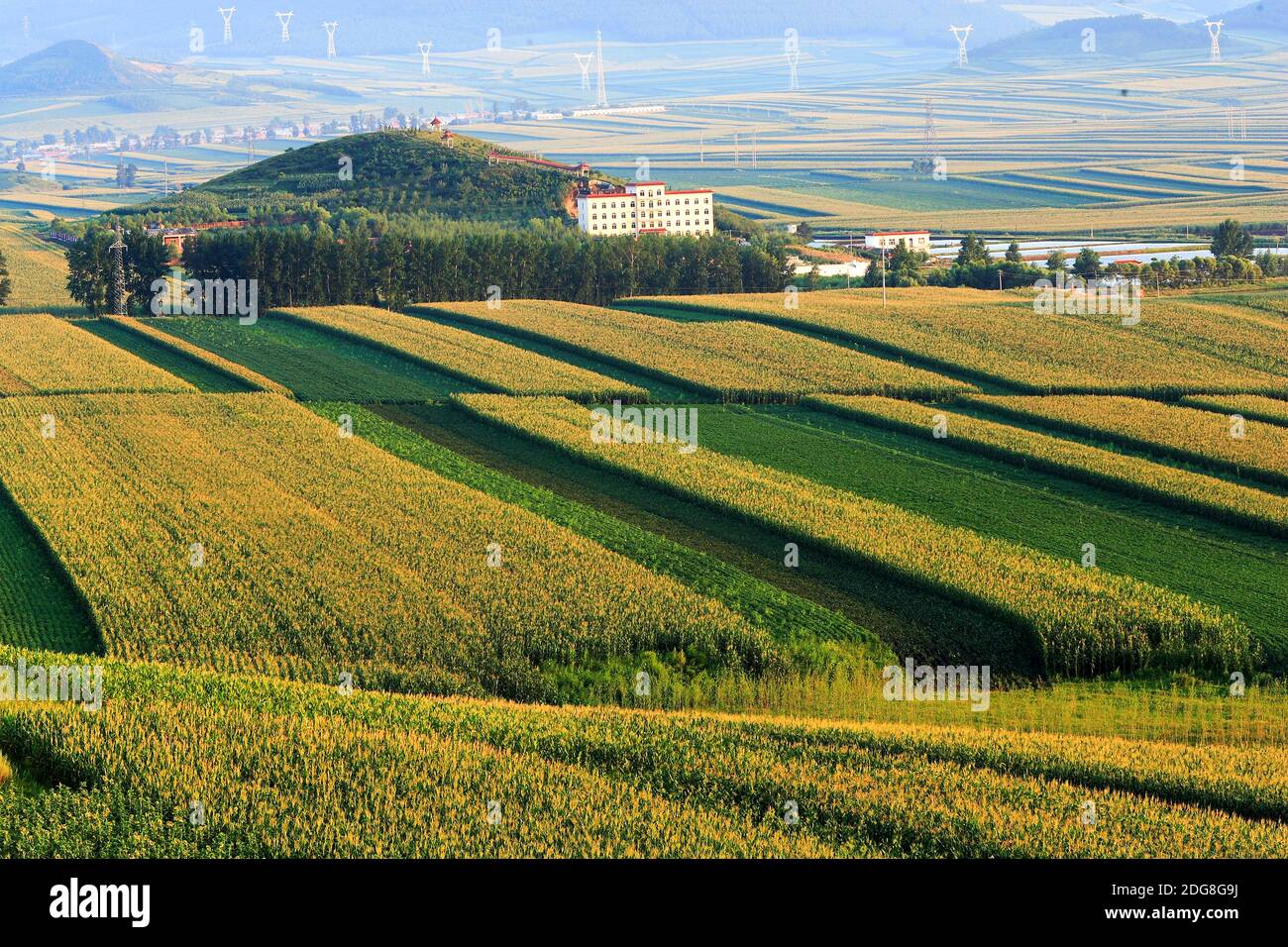 Sanjiang plain farmland in summer Stock Photo - Alamy