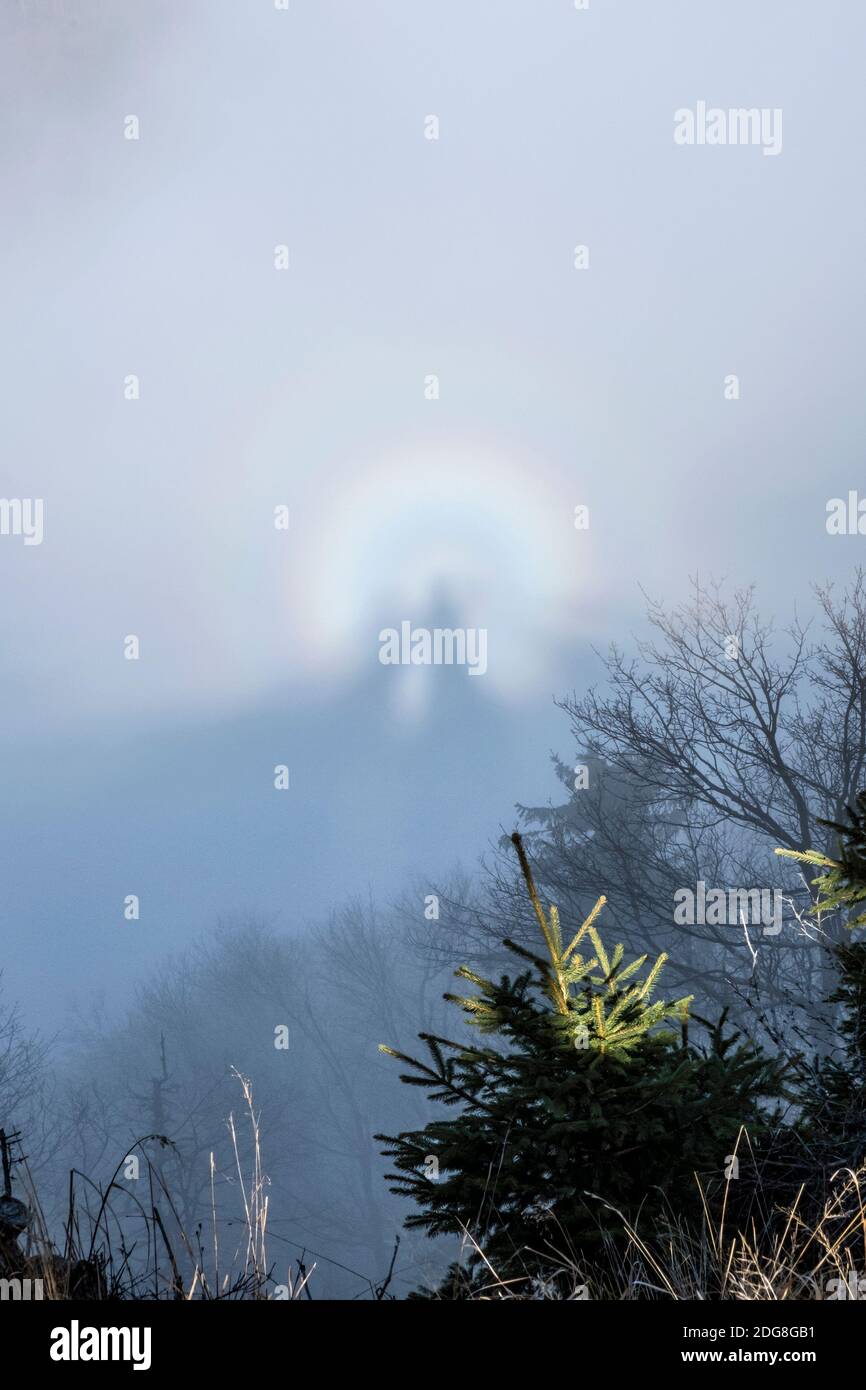 Vidmo hi-res stock photography and images - Alamy