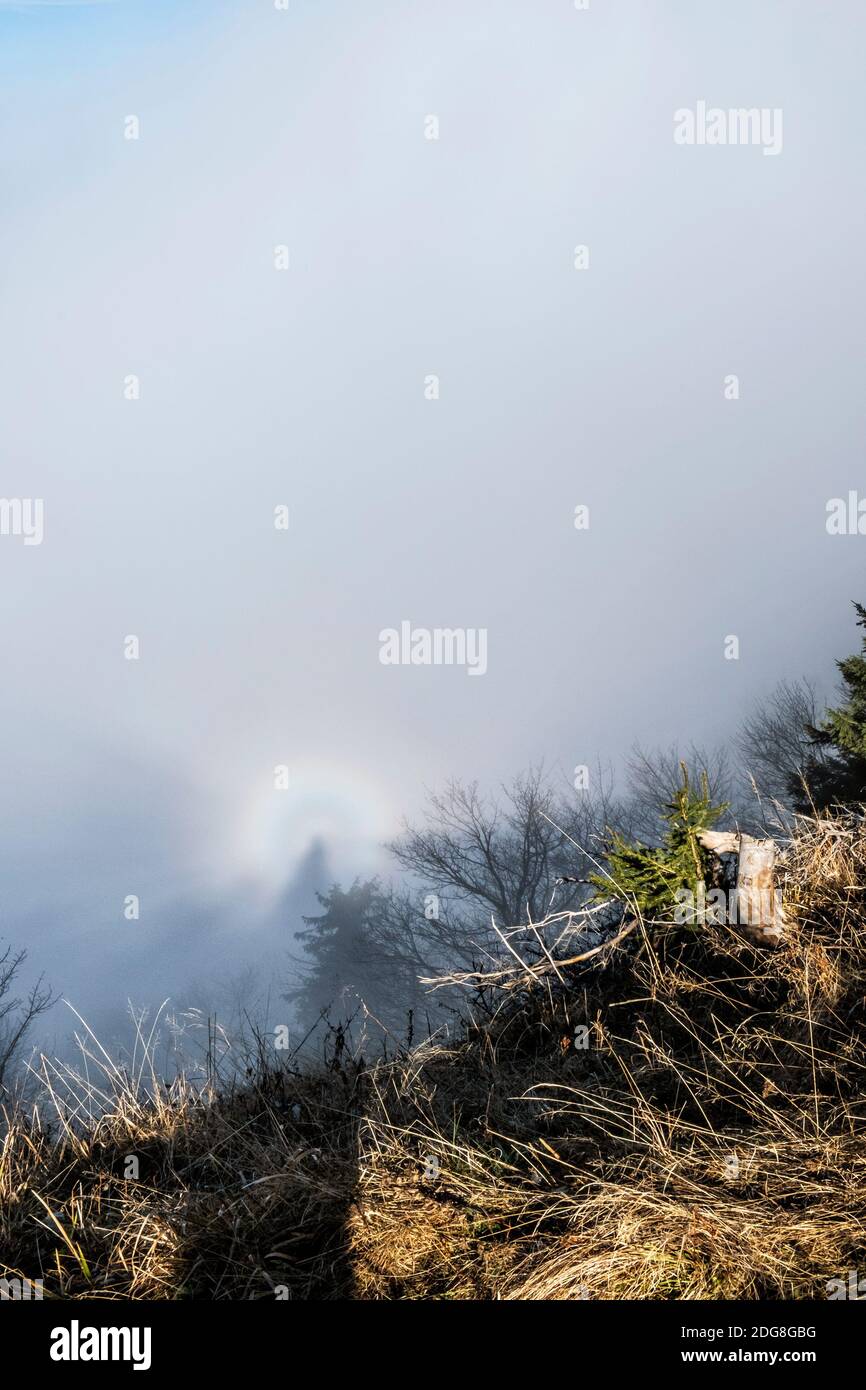 Vidmo hi-res stock photography and images - Alamy