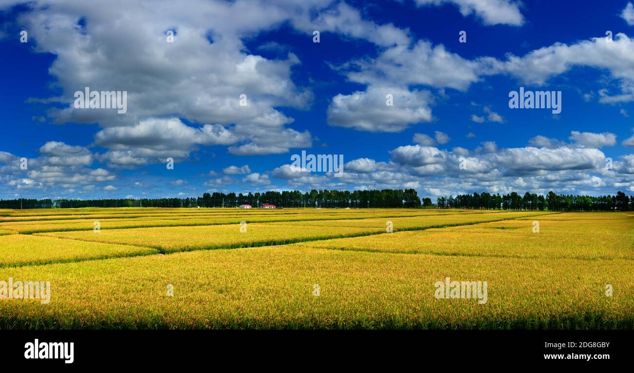Plain land feature hi-res stock photography and images - Alamy