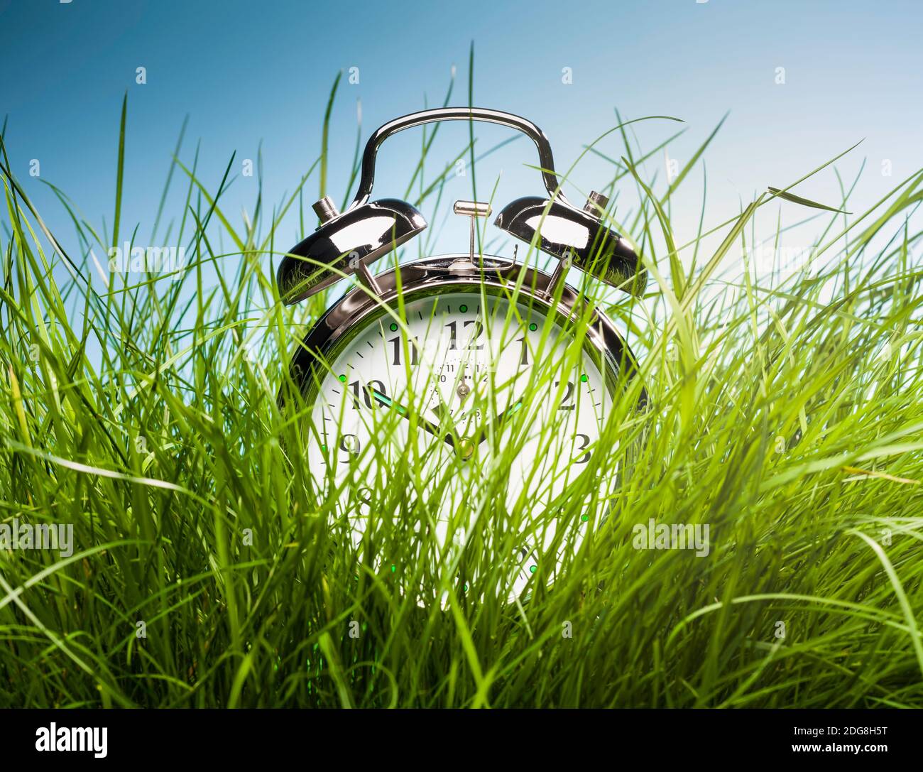 Alarm clock hiding in tall grass Stock Photo - Alamy