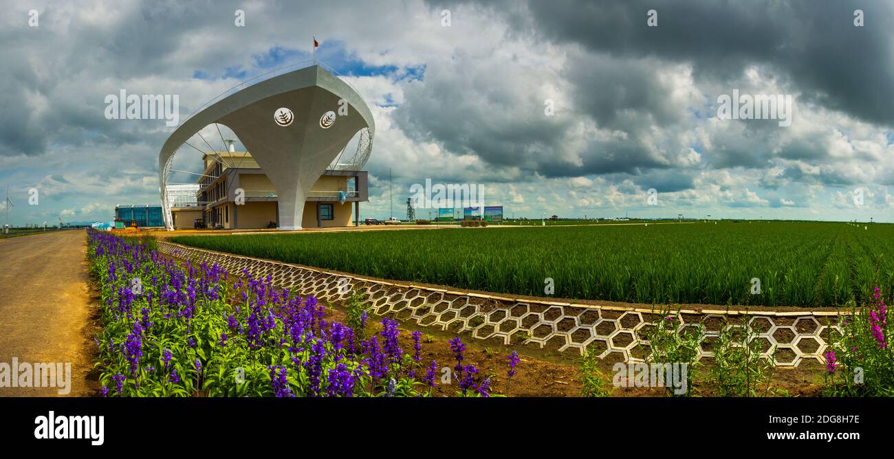 Sanjiang plain farmland in summer Stock Photo - Alamy