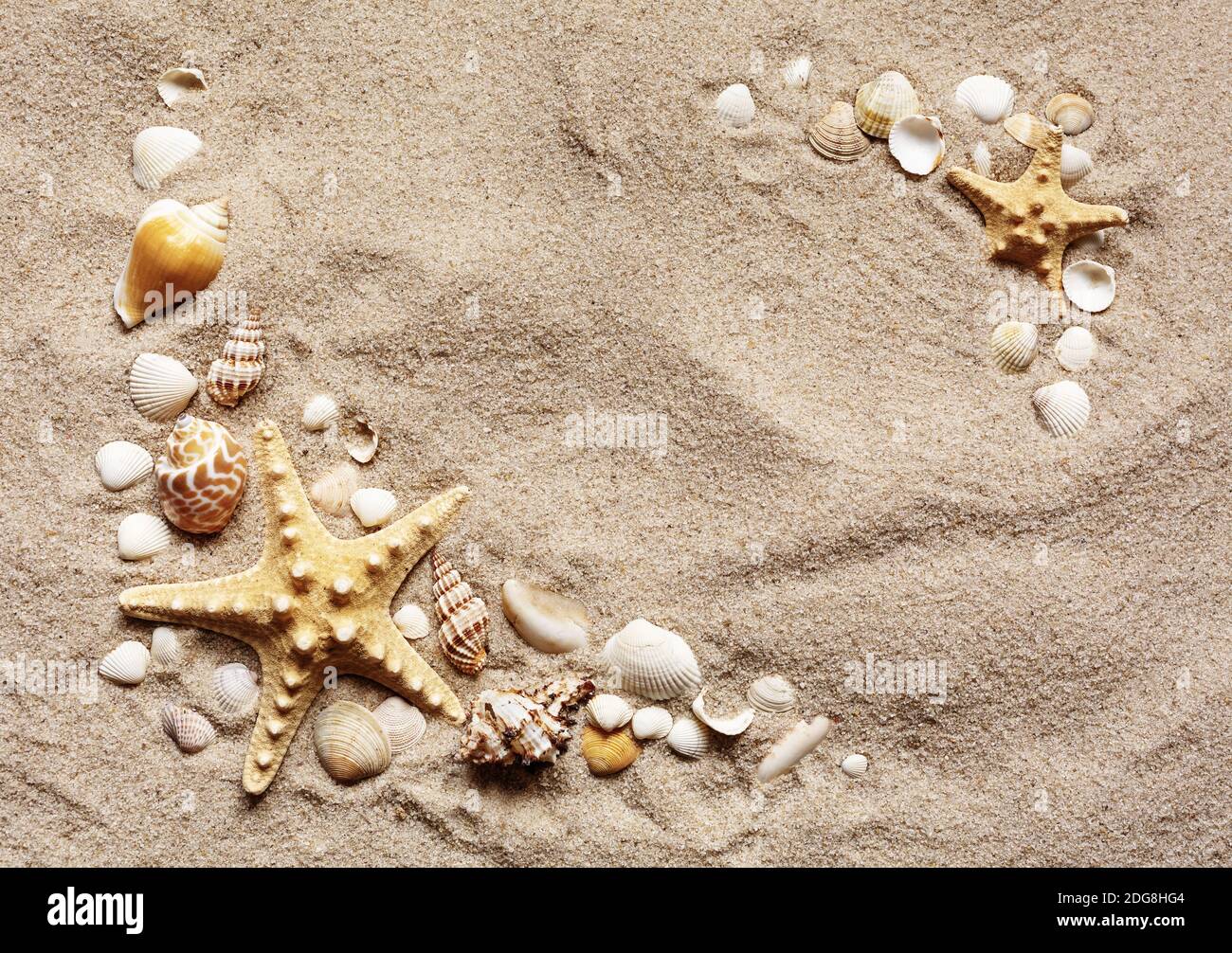 Sandy beach background with shells and stones. Sand texture for summer ...