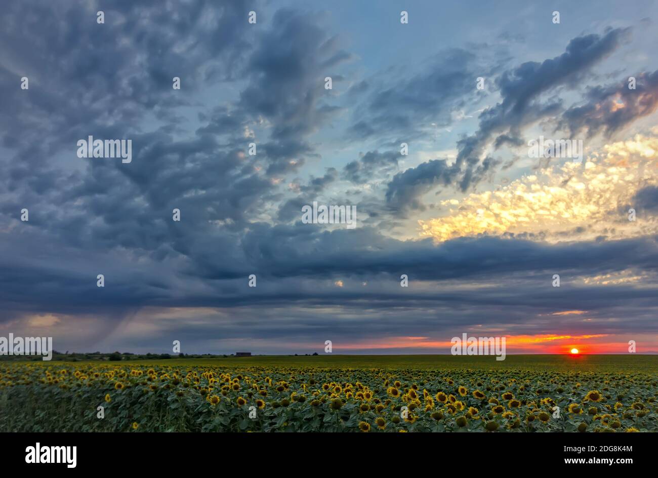 The exciting landscape Stock Photo - Alamy