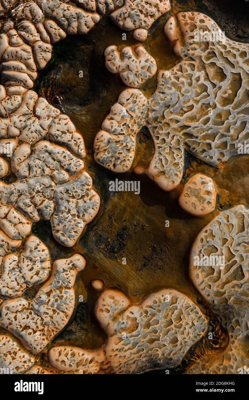 Abstract natural rocky background of the stones with spring water ...