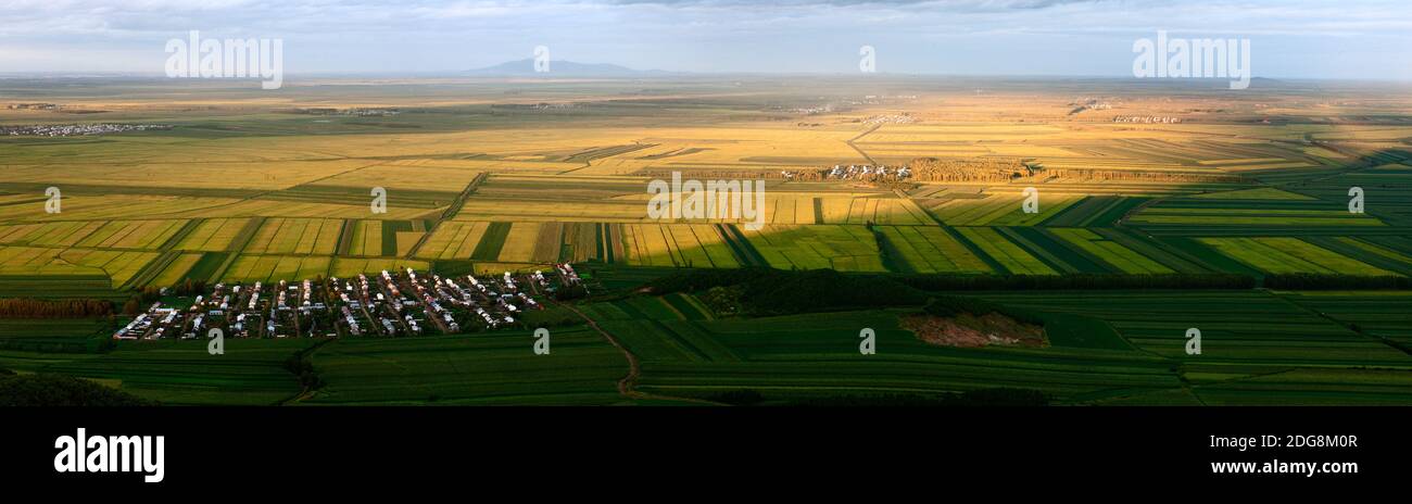 Sanjiang plain farmland in summer Stock Photo - Alamy