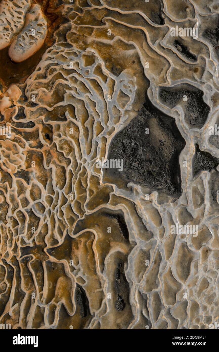 Abstract natural rocky background of the stones with spring water ...