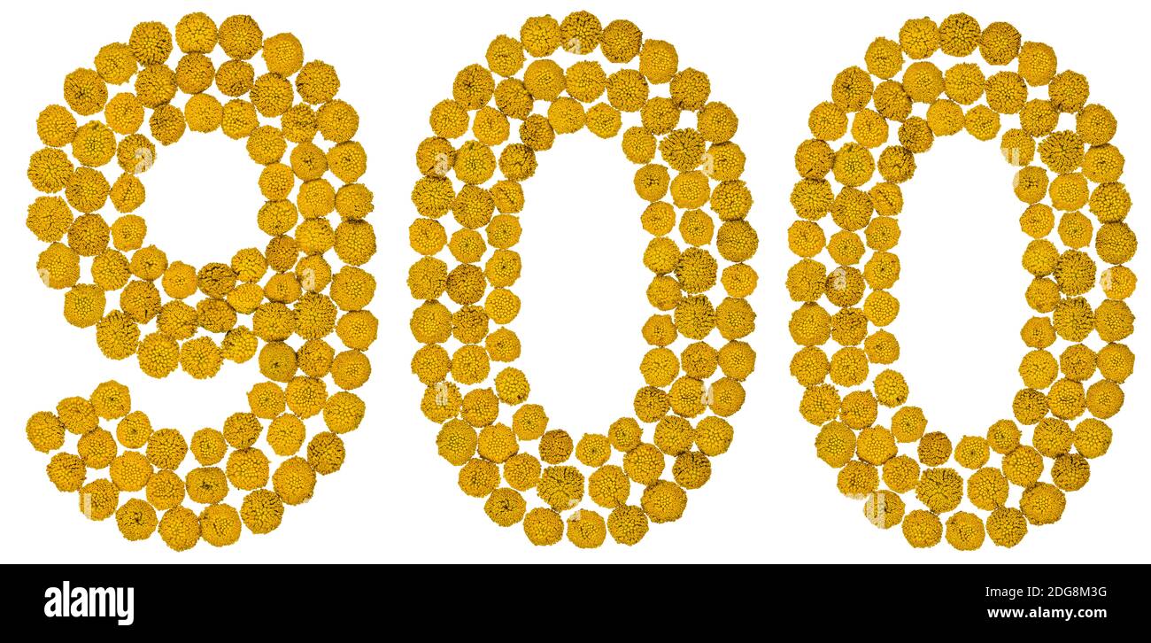 Arabic numeral 900, nine hundred, from yellow flowers of tansy ...