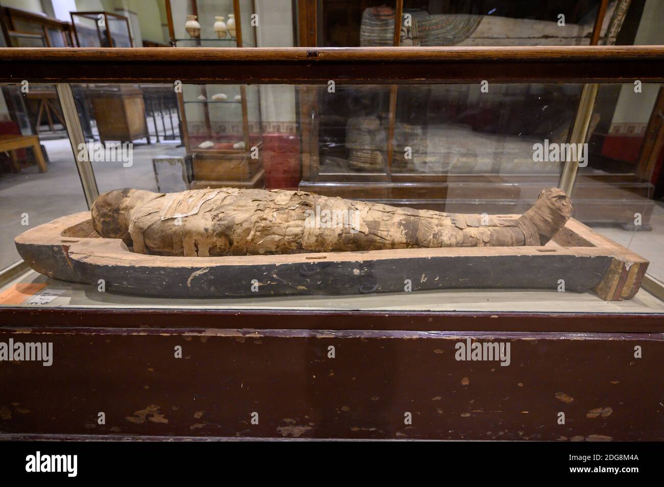 Embalmed mummy, inside the Egyptian Museum, Cairo, Egypt Stock Photo ...