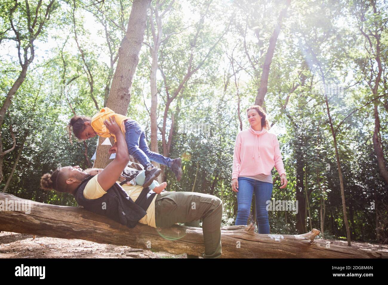 Log lift hi-res stock photography and images - Alamy