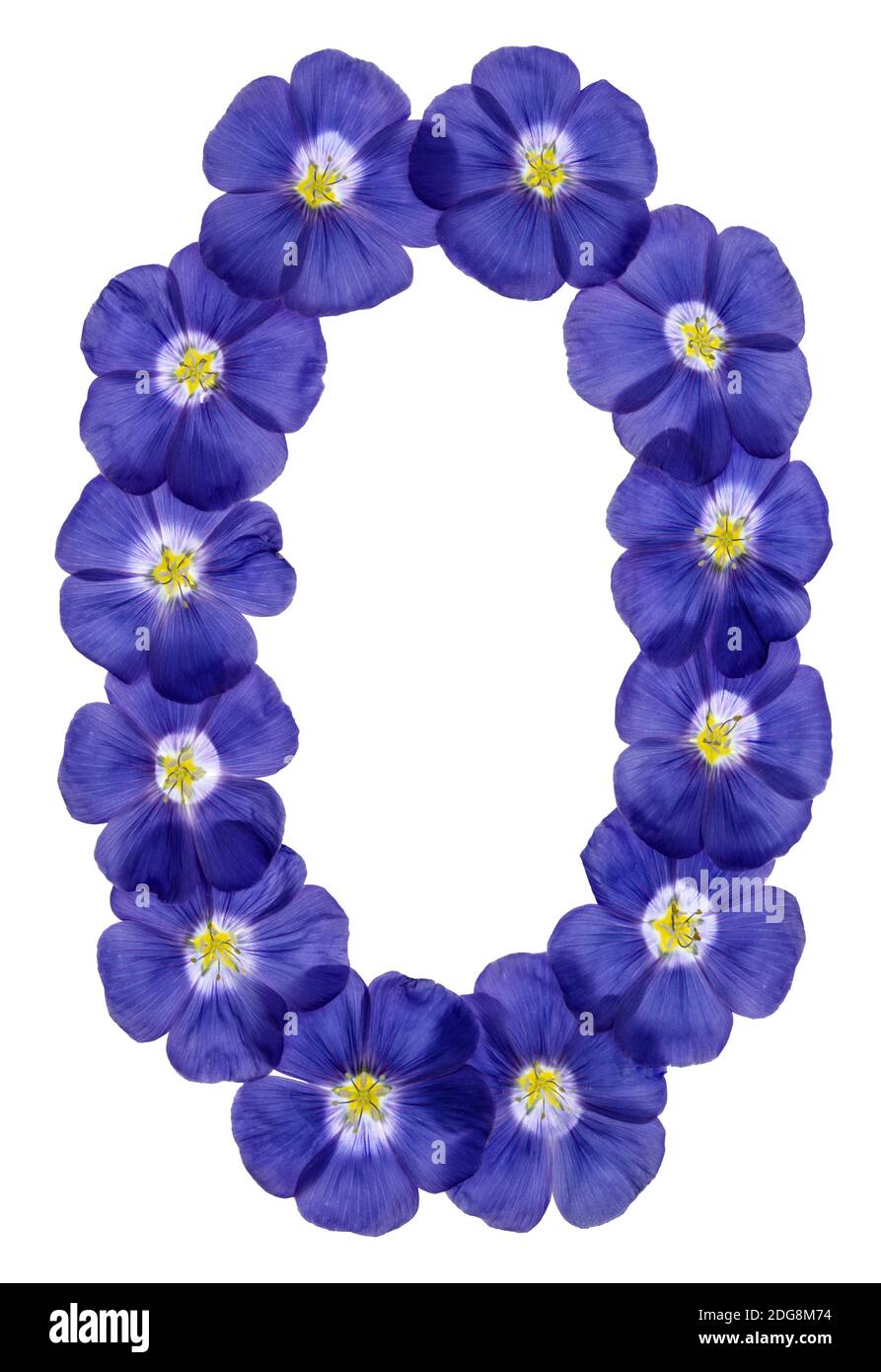 Arabic numeral 0, zero, from blue flowers of flax, isolated on white ...