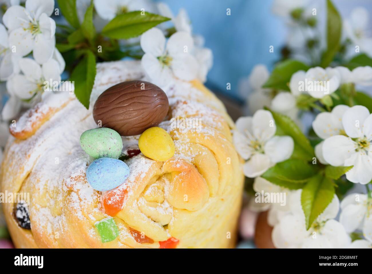 Traditional cupcake Easter cake kraffin with raisins on blue background ...