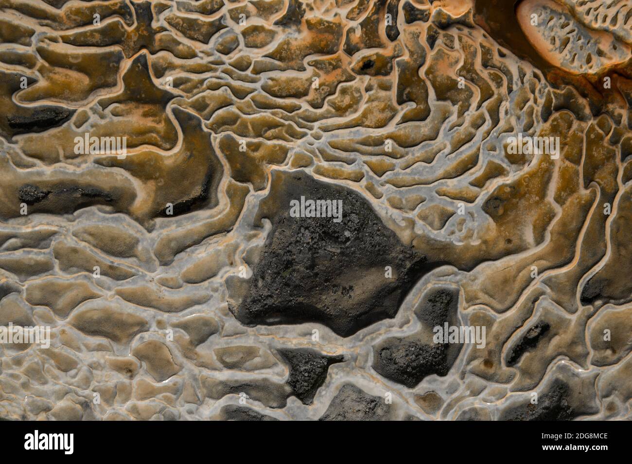 Abstract natural rocky background of the stones with spring water ...