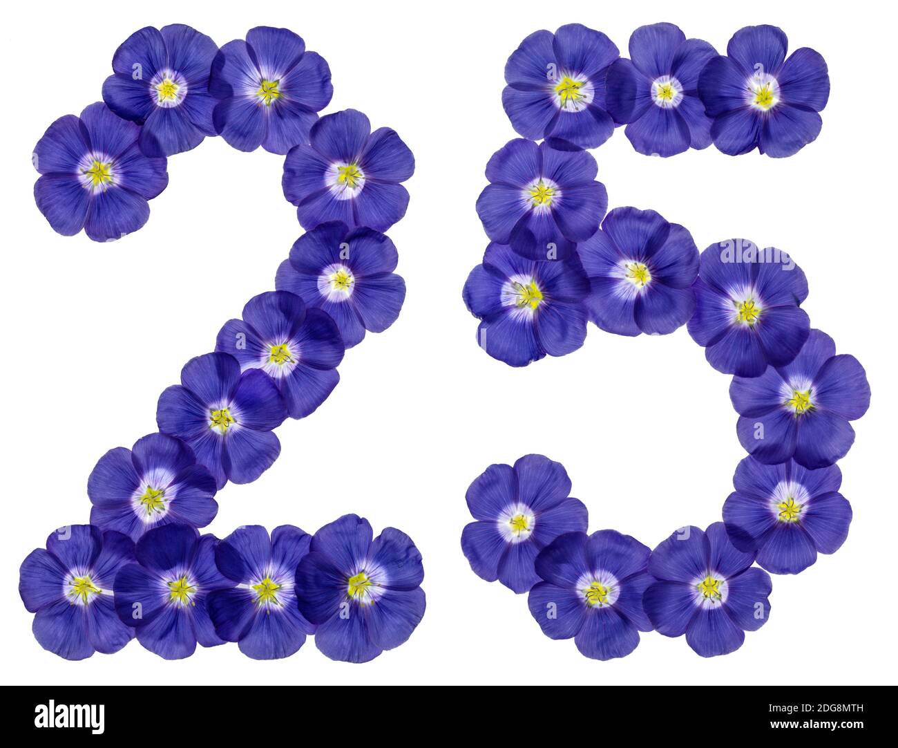 Arabic numeral 25, twenty five, from blue flowers of flax, isolated on ...