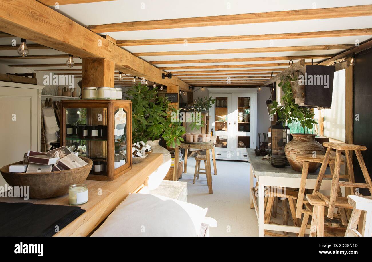 Sunny plant nursery interior Stock Photo - Alamy