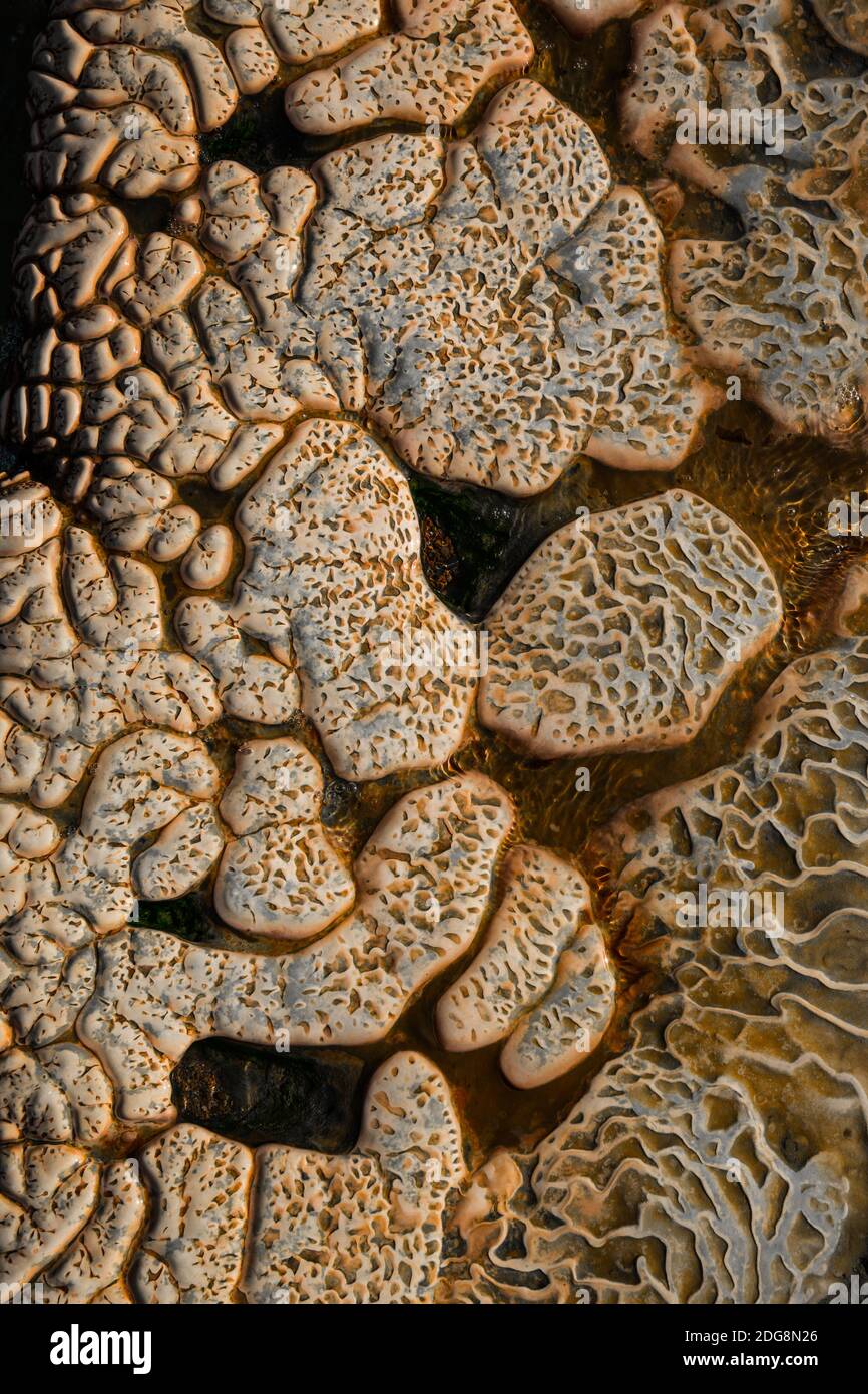Abstract natural rocky background of the stones with spring water ...