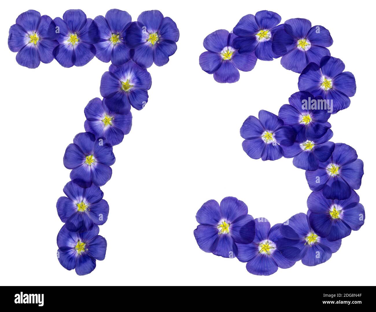 Arabic numeral 73, seventy three, from blue flowers of flax, isolated ...