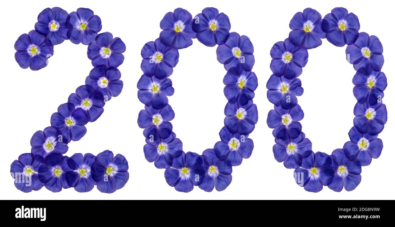 Arabic numeral 200, two hundred, from blue flowers of flax, isolated on ... Arabic numeral 200, two hundred, from blue flowers of flax, isolated on ...