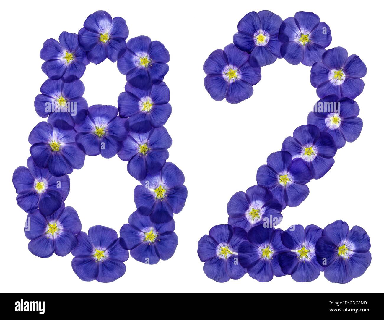 Arabic numeral 82, eighty two, from blue flowers of flax, isolated on ...